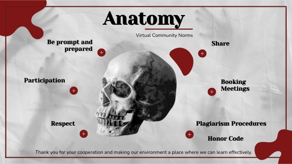 Anatomy Virtual Community Norms | Genially
