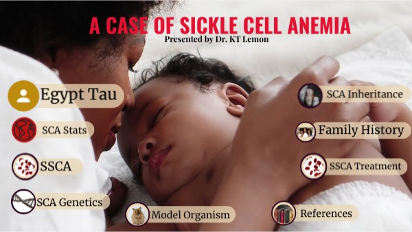 SCA patient 3501 Fall 23