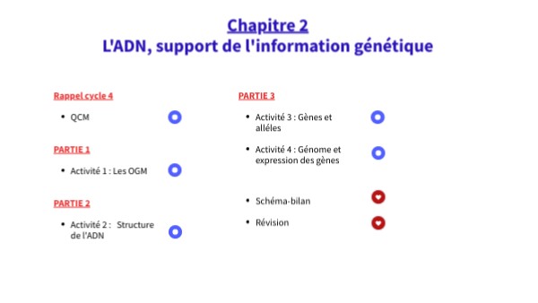 Seconde _ Chapitre ADN | Genially