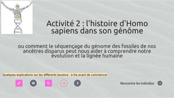 Lignée humaine | Genially