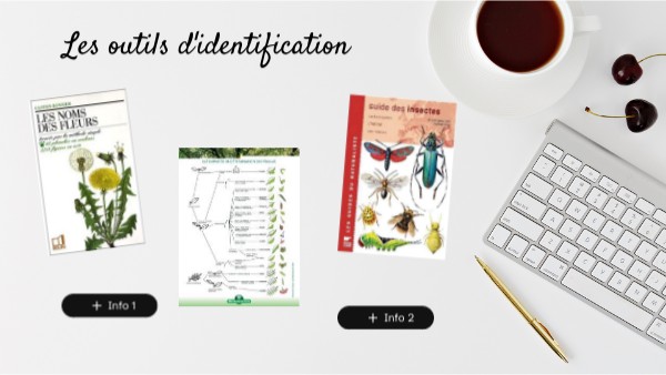 Les outils d'identification | Genially