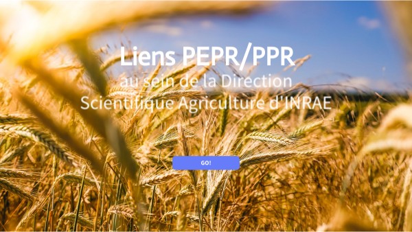 Liens PEPR/PPR