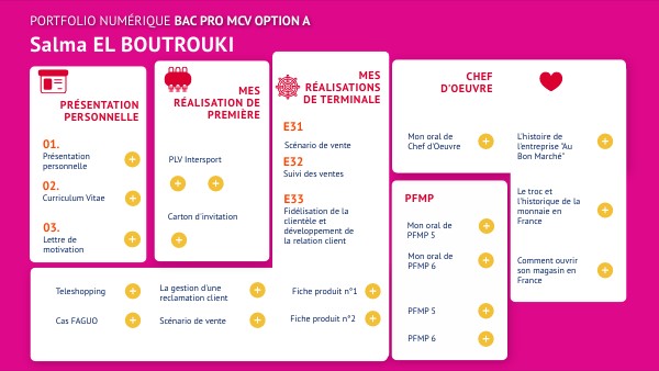 Portfolio Salma El Boutrouki TMCVA | Genially