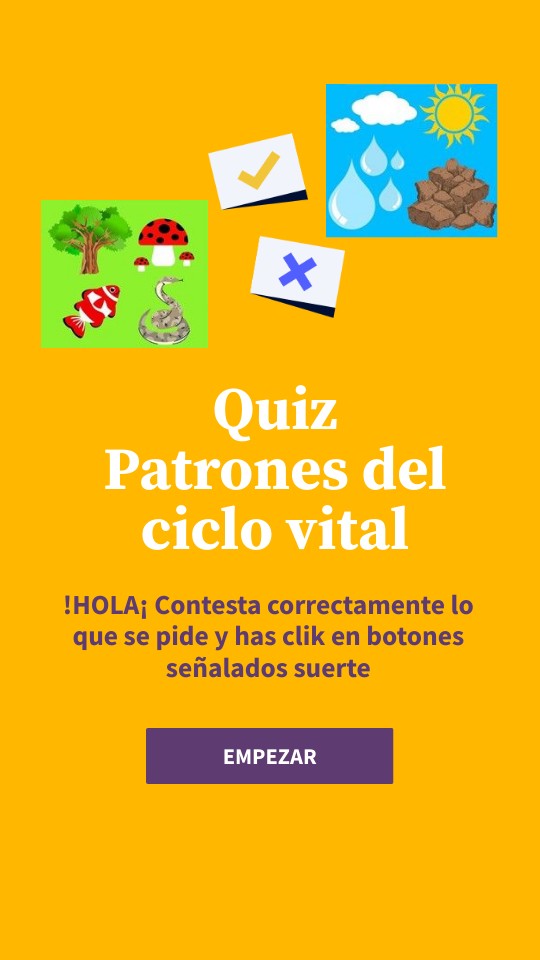 Quiz Patrones del ciclo vital | Genially