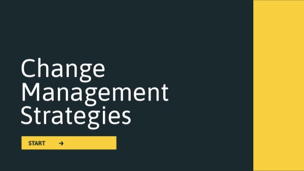 Change Management Strategy