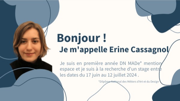 Cassagnol Erine - CV interactif