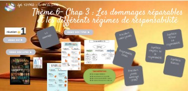 Spe Droit TSTMG - Thème 6 | Genially