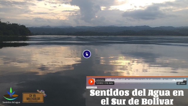 Sentidos del Agua | Genially