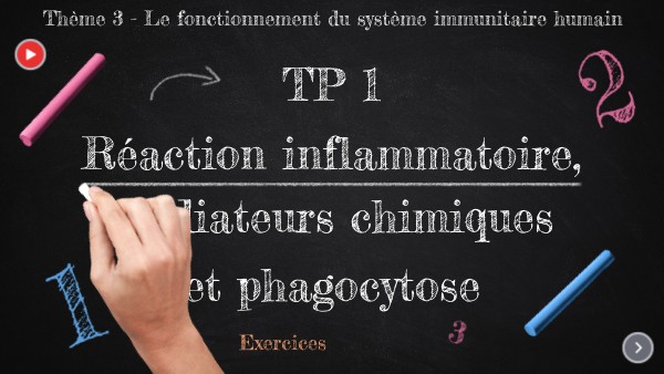 1 - TP1 - RI et phagocytose | Genially
