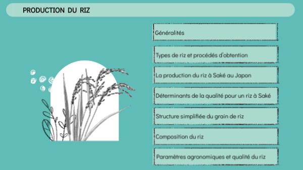 La production du riz | Genially