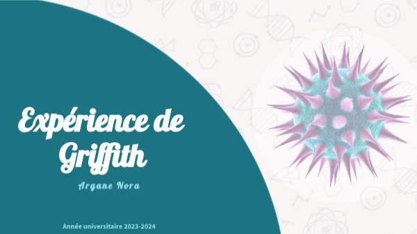 Expérience de Griffith | Genially