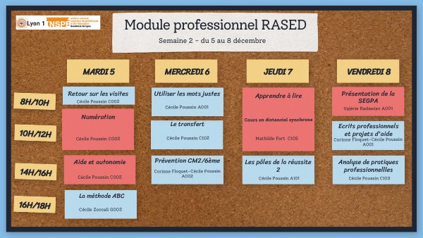 EDT PRO RASED revu 2023