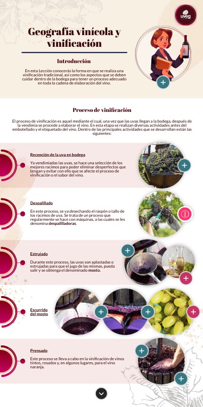 DE_L3_infografia | Genially