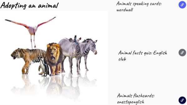 Adopting an animal A1 MLA