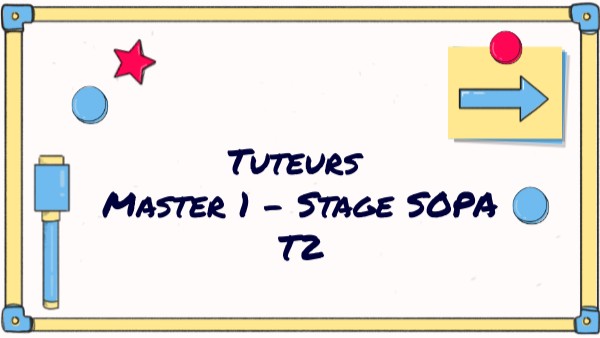 Visio régulation - M1 Stage SOPA - 2