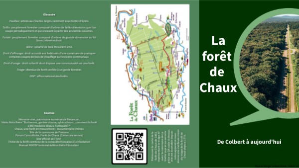 Forêt de Chaux de Colbert à aujourd'hui | Genially