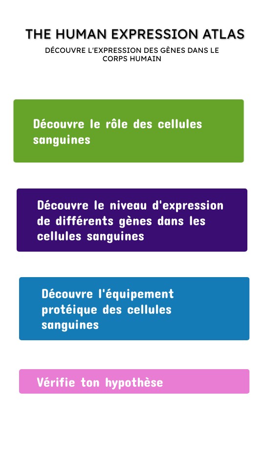 Expression génétique (2nde)