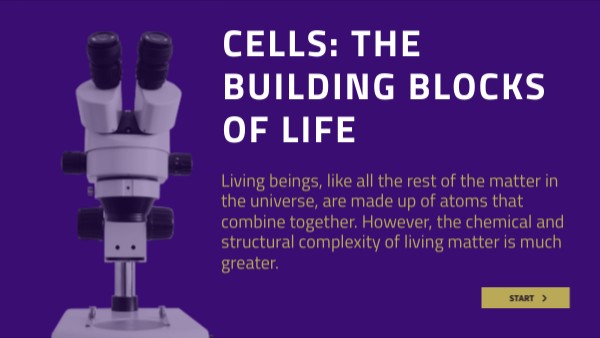 CELLS: THE BUILDING BLOCKS OF LIFE
