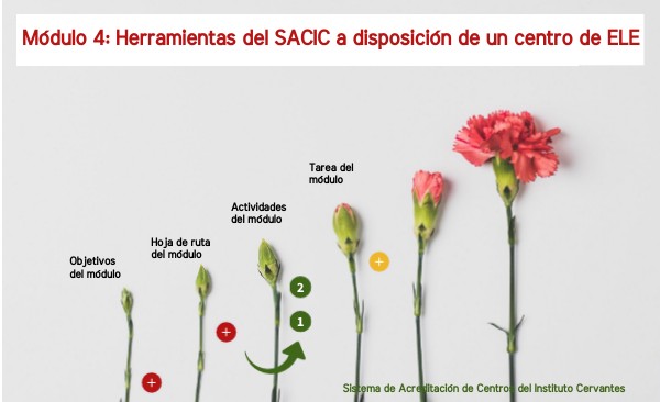 Módulo 4 nuevo_IC | Genially