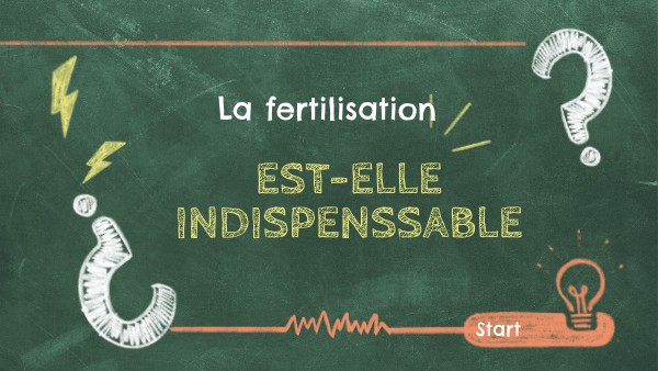 Copie - Copie - ANIMATED CHALKBOARD PRESENTATION | Genially