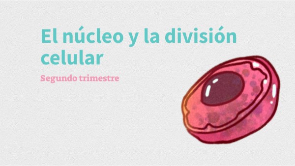 El núcleo y la división celular | Genially