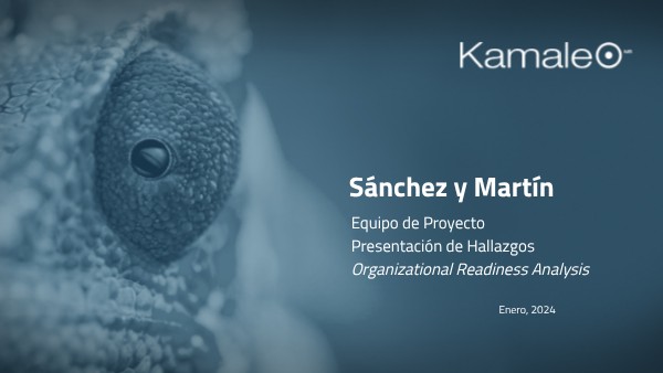 SYM_Hallazgos_240105_v2 | Genially