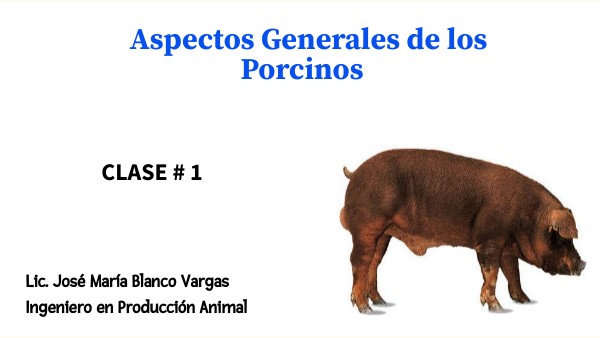 CLASE 1 CERDOS | Genially