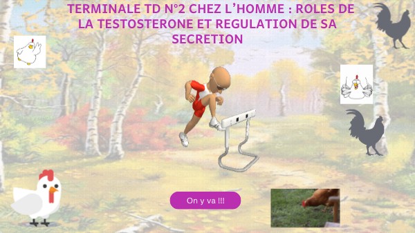 seconde TD 3 Mise en place des caractères sex | Genially