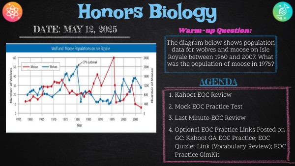 Chalkboard Presentation | Genially