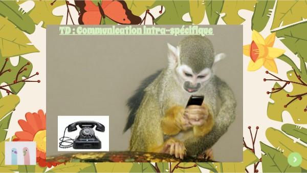Copie - Communication Animale et speciation SVT 2n | Genially