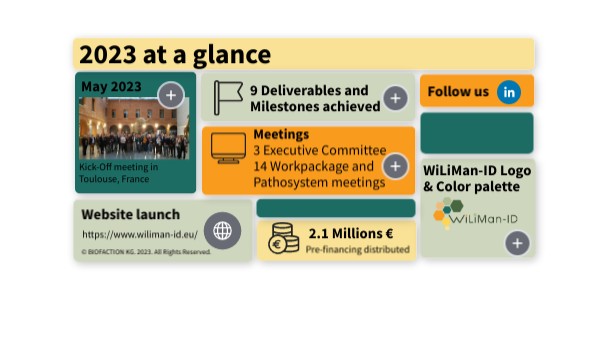 W_2023 at a Glance | Genially