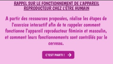 Fonctionnement de l'appareil reproducteur (rappel) | Genially