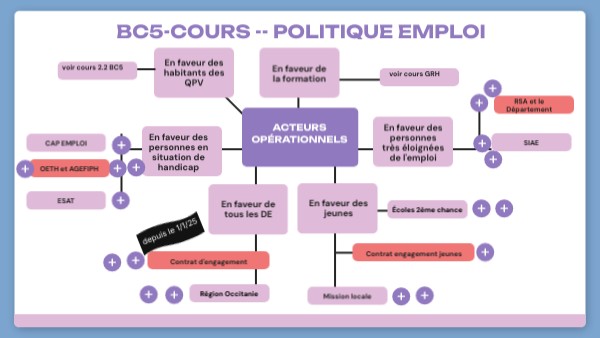 BC5-COURS 2.5 acteurs opérationnals politique de l'emploi
