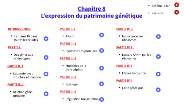 Première spé _ Chapitre 8_ Expression du patrimoine génétique | Genially