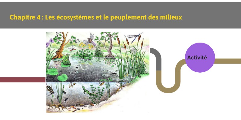 Chapitre 4 : le peuplement des milieux