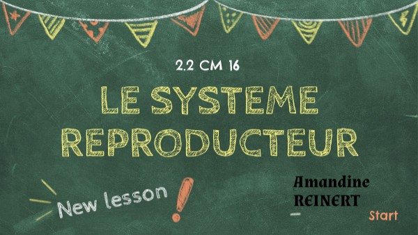 Copie - ANIMATED CHALKBOARD LEARNING UNIT