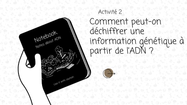 ACT 2 LE CODAGE DE L'ADN | Genially