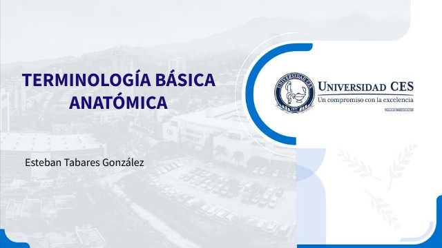 03.Terminologia básica | Genially