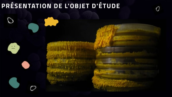 Projet blob 2025 | Genially