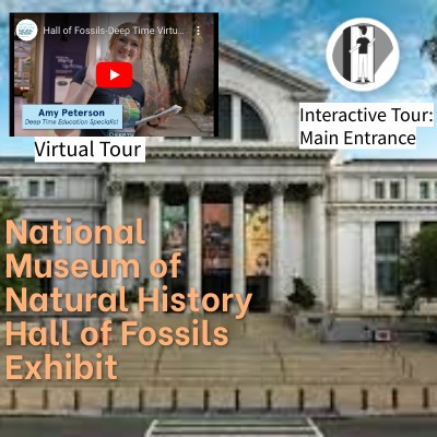 Virtual Field Trip - National Museum of Natural History | Genially