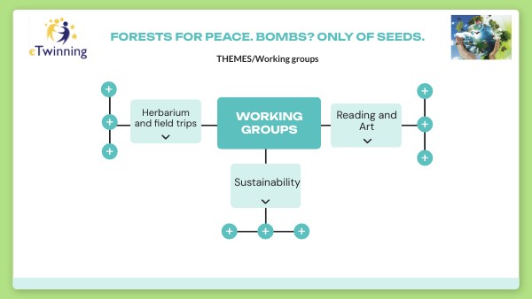 Forests for Peace_Activities | Genially