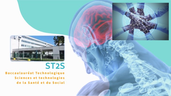 Présentation ST2S Dupuy | Genially