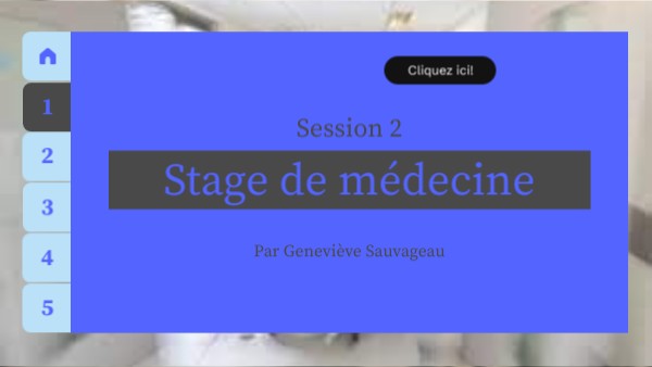 Stage session 2- B1B2 | Genially