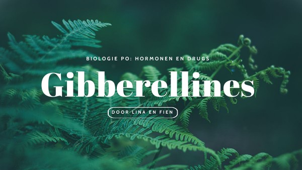 BIO PO Gibberellines | Genially