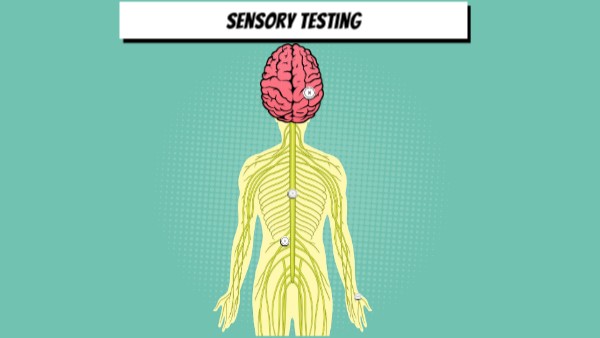 Sensory testing | Genially