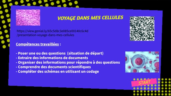 voyage dans mes cellules | Genially