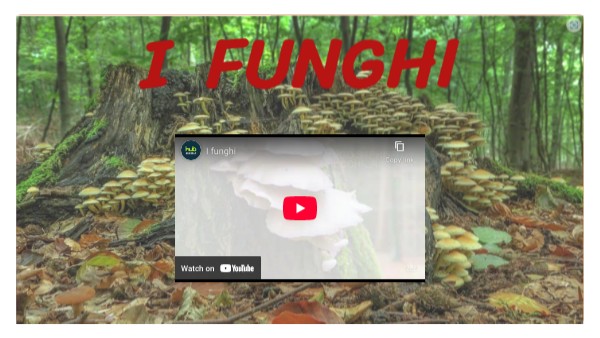 I funghi | Genially