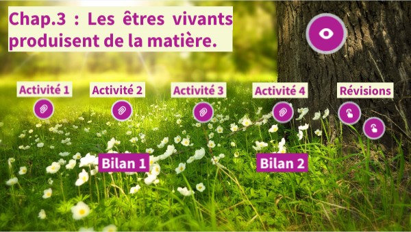 C3 : Les êtres vivants produisent de la matière_6e | Genially