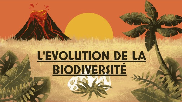 4- évolution 3eme | Genially