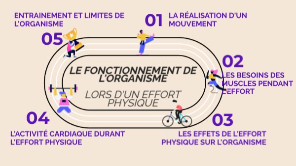 Cycle 4 : Fonctionnement de l'organisme pendant l'effort | Genially